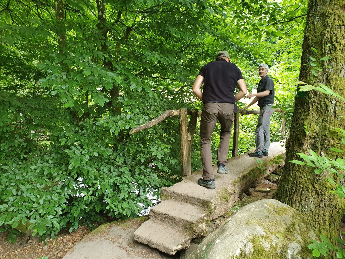 Naturprojekte - TREKK `N Guide