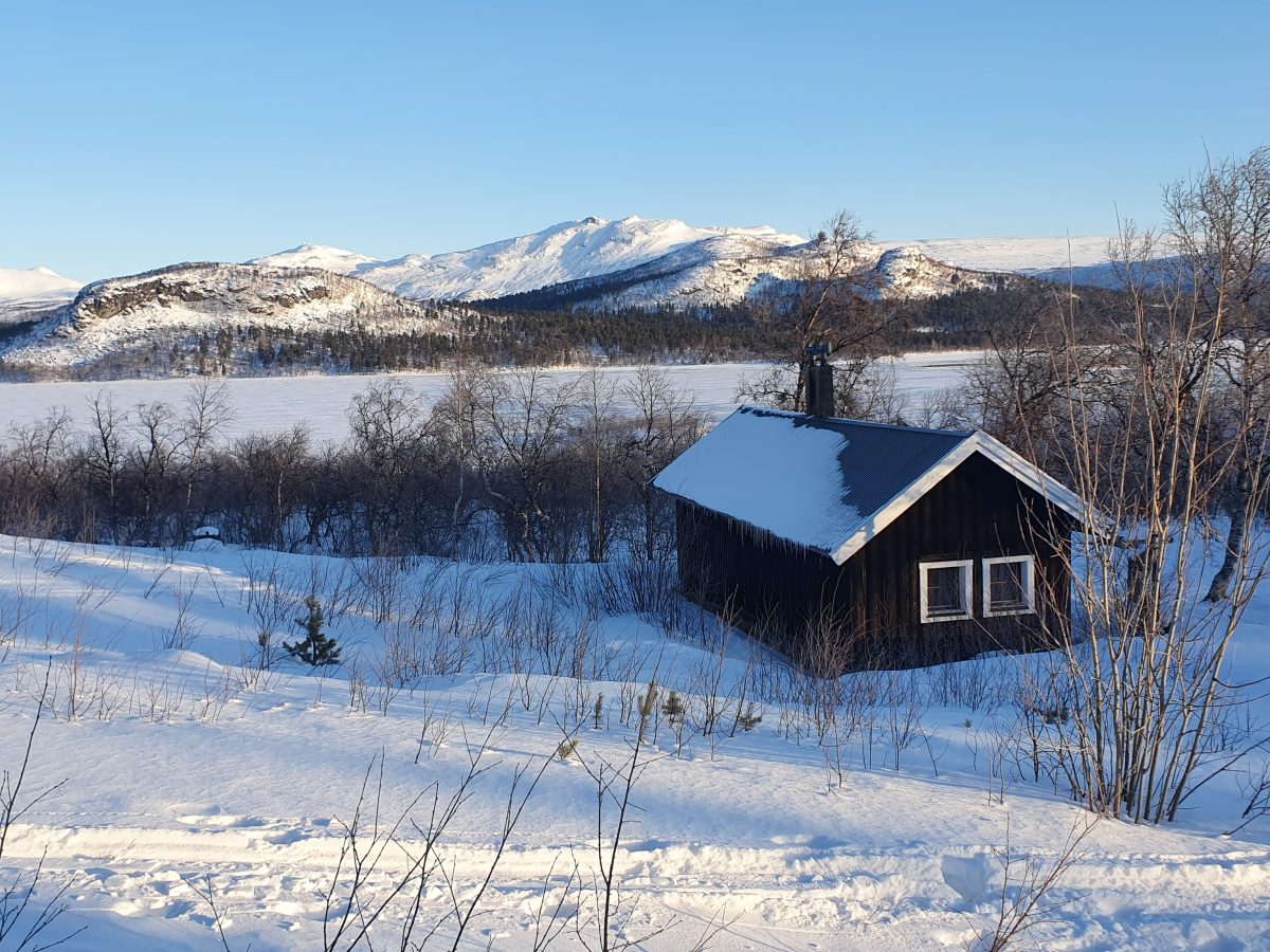Lappland im Winter - TREKK `N Guide